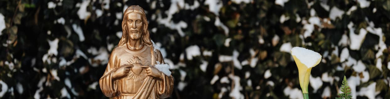The Heart of Jesus, a force | SVE Coeur de Jésus ️