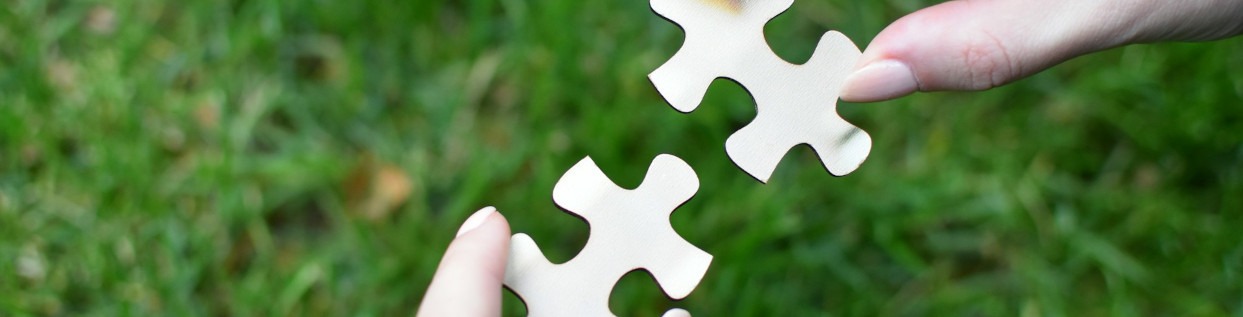 Mantener el rumbo de la fraternidad | SVE Coeur de Jésus ️